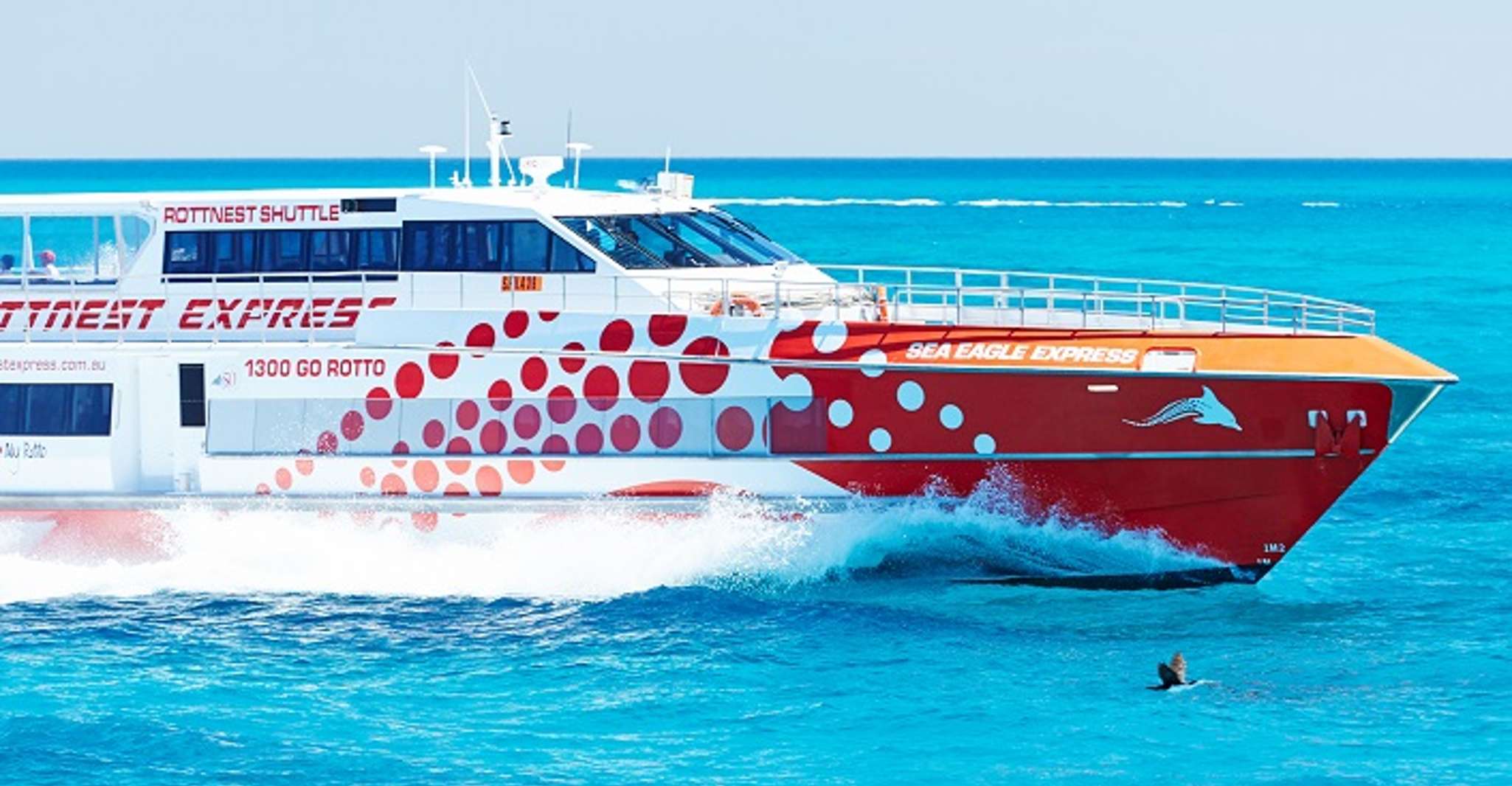 From Fremantle, Rottnest Island Ferry & Bus Day Tour | Day Trip in ...