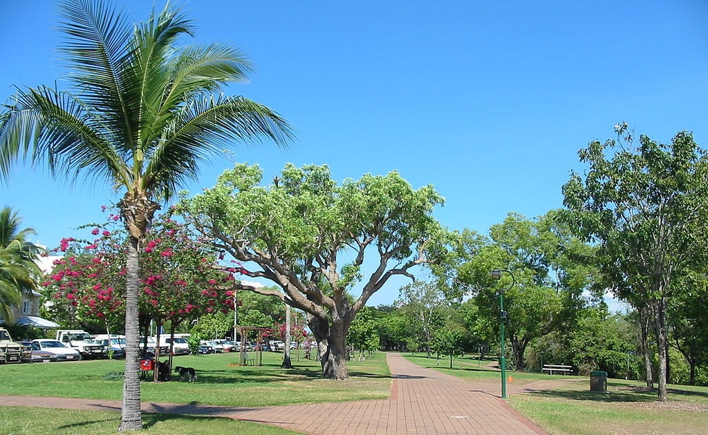 Darwin Self-Guided Audio Tour | GetYourGuide