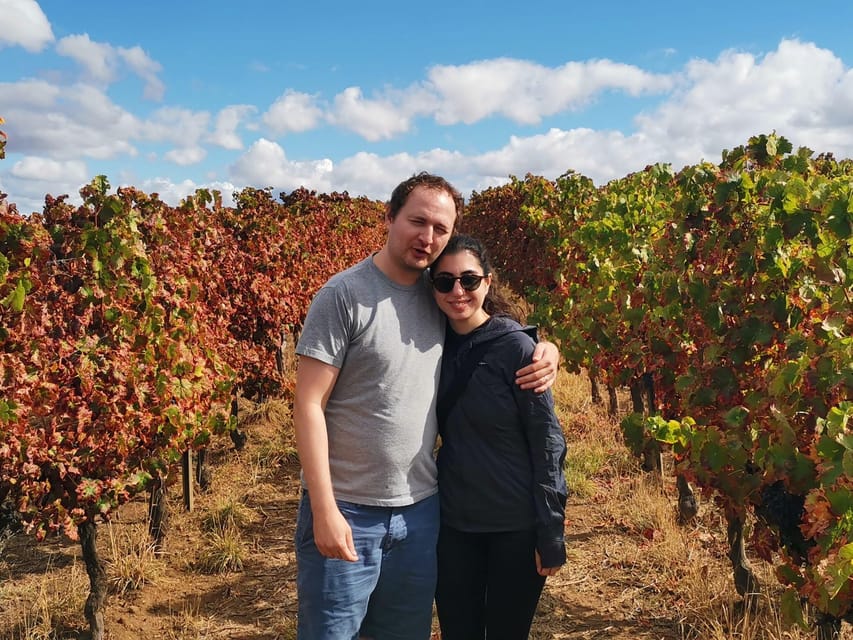 Producción de corcho, Vino, Comida, Templo de Diana y Capilla de los ...