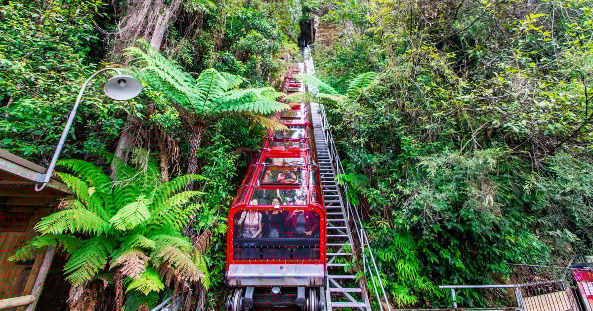From Sydney: Blue Mountains, Scenic World, Zoo, & Ferry Tour | GetYourGuide