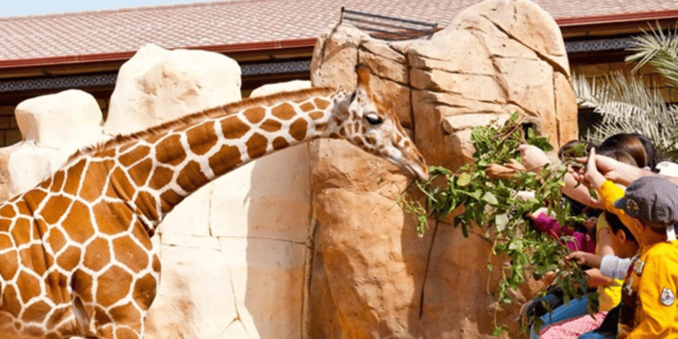 Conheça o Emirates Park Zoo Abu Dhabi com um traslado de luxo ...
