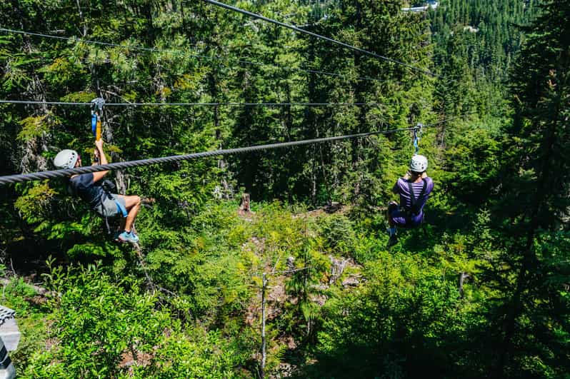 Whistler: Ziplining ervaring | GetYourGuide