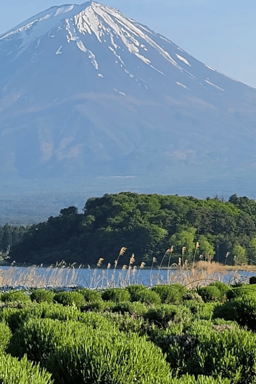 Desde Tokio: Excursión Privada de un Día al Monte Fuji con Conductor ...