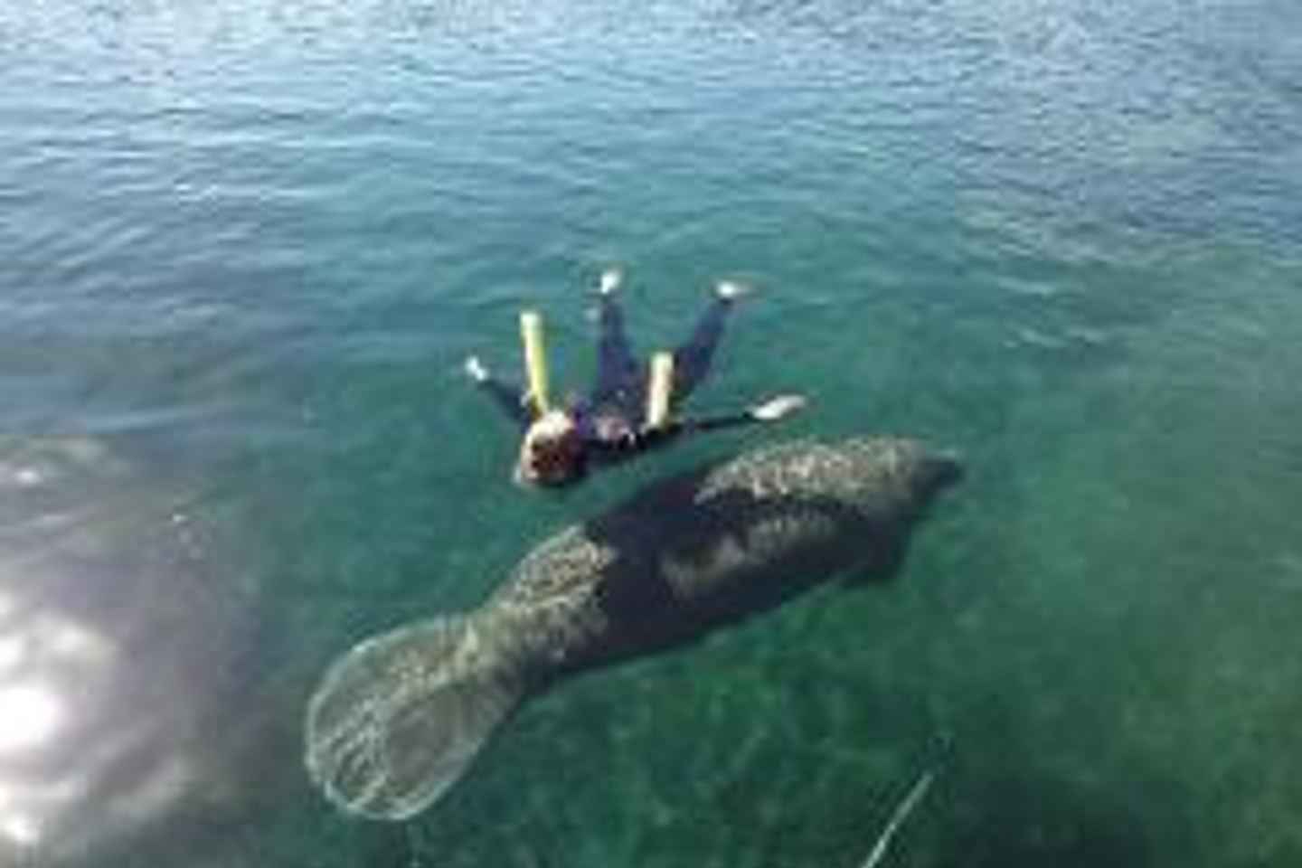 Top 30 Things To Do In Citrus County, Florida - Updated 2021 | Trip101