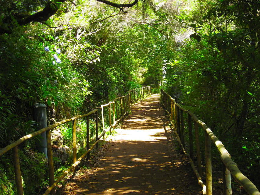 Madeira: Queimadas, Caldeirão Verde and Levada Walk | GetYourGuide
