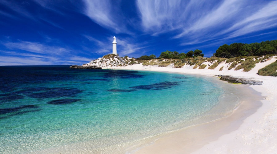 Isola di Rottnest: Gran tour in autobus e treno con pranzo | GetYourGuide