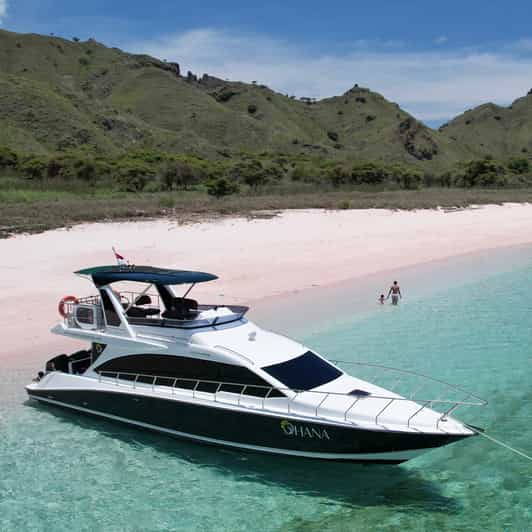 Komodo Full Day Speedboat Tour from Labuan Bajo | GetYourGuide