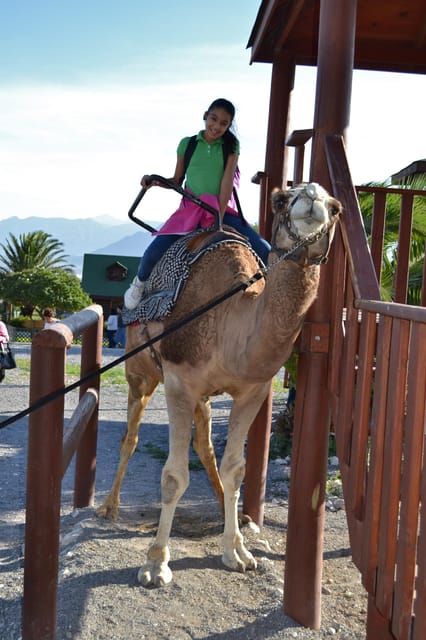 Monterrey: Zoological Adventure at Xenpal | GetYourGuide