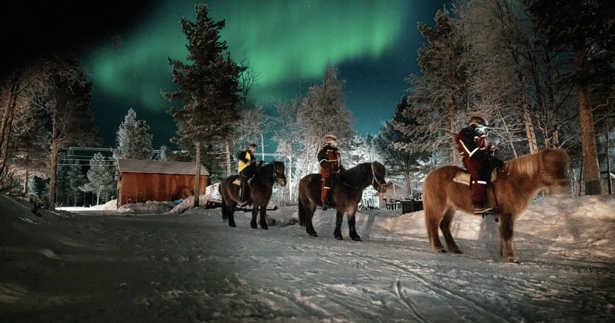 Kiruna: Northern Lights Horseback Ride with Dinner | GetYourGuide
