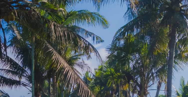 Segara Windhu Coffee Plantation, Bangli, Indonesia - 티켓 및 투어 예약 ...