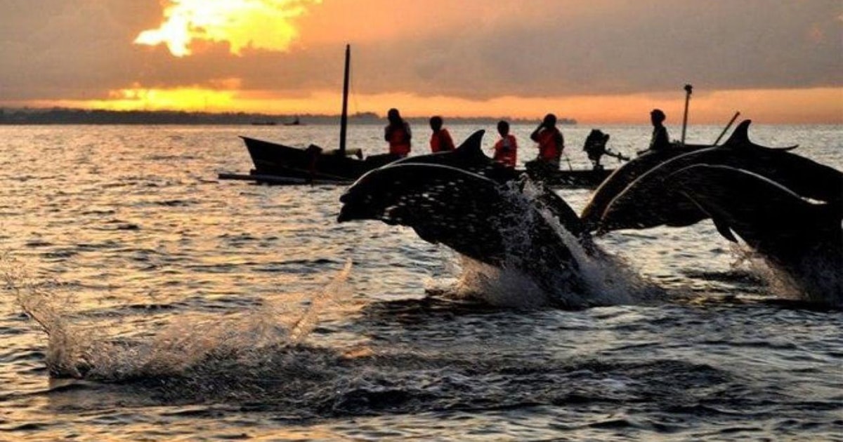 Lovina-Bali: Watching Dolphin & Waterfall Tour-All Inclusive | GetYourGuide