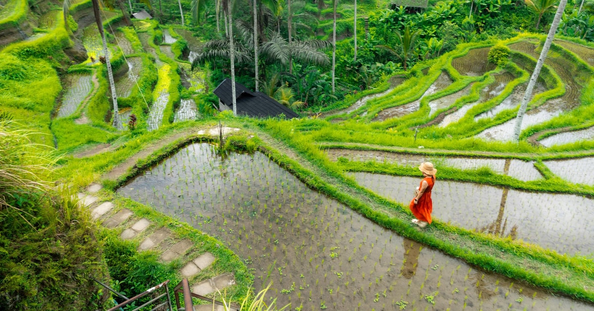 Bali: Ubud and Kintamani Viewpoint Opt. Swing & Buffet Lunch | GetYourGuide