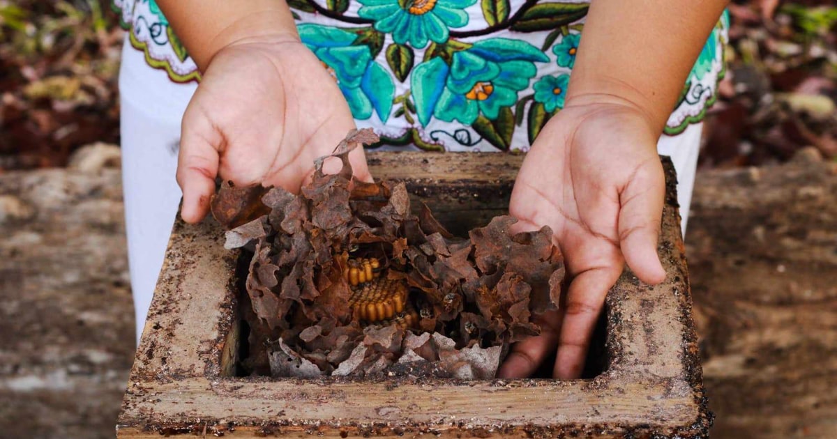 Cozumel: Ultimate Combo: Maya romok, méhészet és sznorkelezés ...