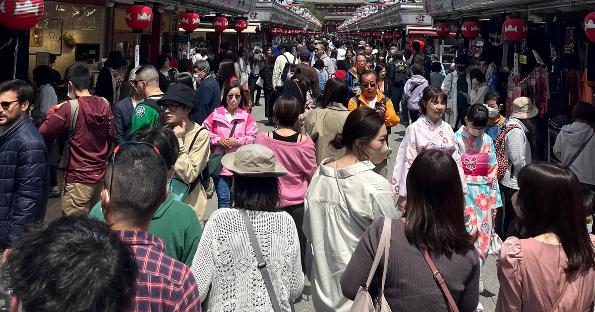 Fantastic Tokyo Guided Walking Tour with Tokyo Bay Cruise | GetYourGuide