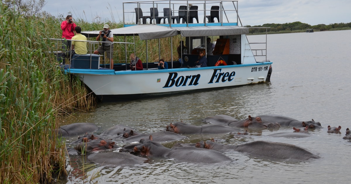 From Durban: St. Lucia Wetlands Boat Ride | GetYourGuide
