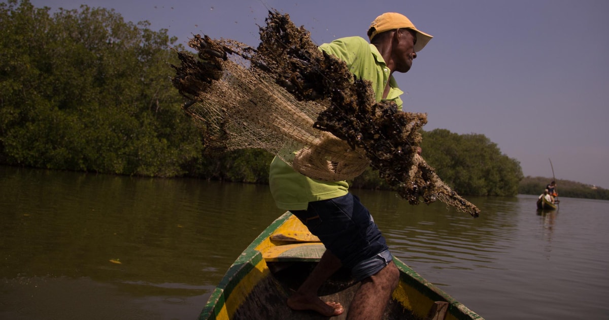 Pesca com moradores locais | GetYourGuide