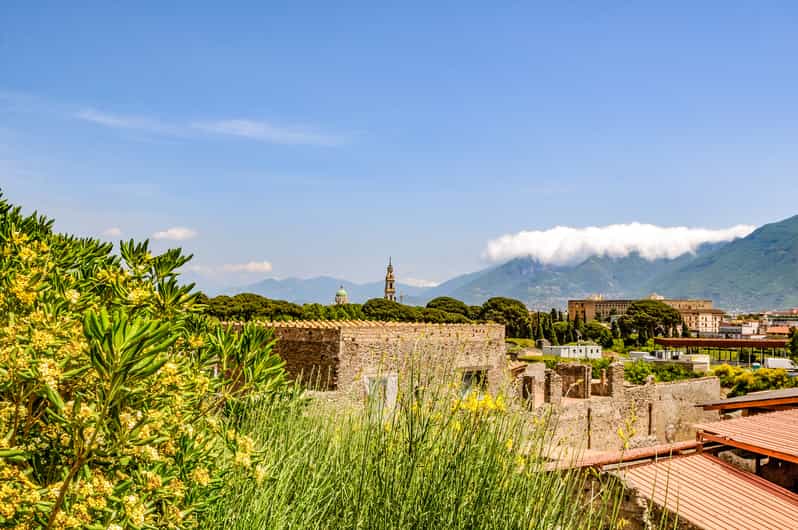 From Rome: Pompeii and Mt. Vesuvius Volcano Full-Day Trip | GetYourGuide