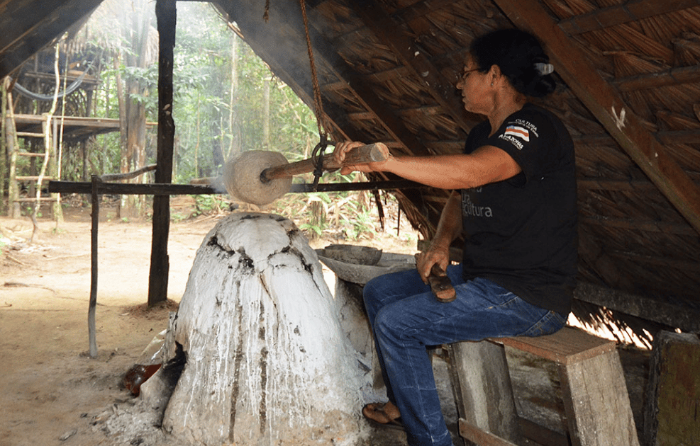 マナウス: Museu do Seringal Rubber Museum | GetYourGuide