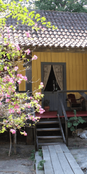 Manaus: Museu do Seringal Rubber Museum | GetYourGuide