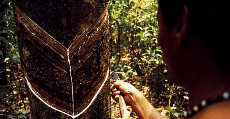 Manaus: Museu do Seringal Rubber Museum | GetYourGuide