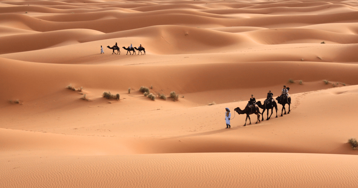 Marrakech: 3 giorni nel deserto di Merzouga, Lux Camp - Cammello + Cena ...