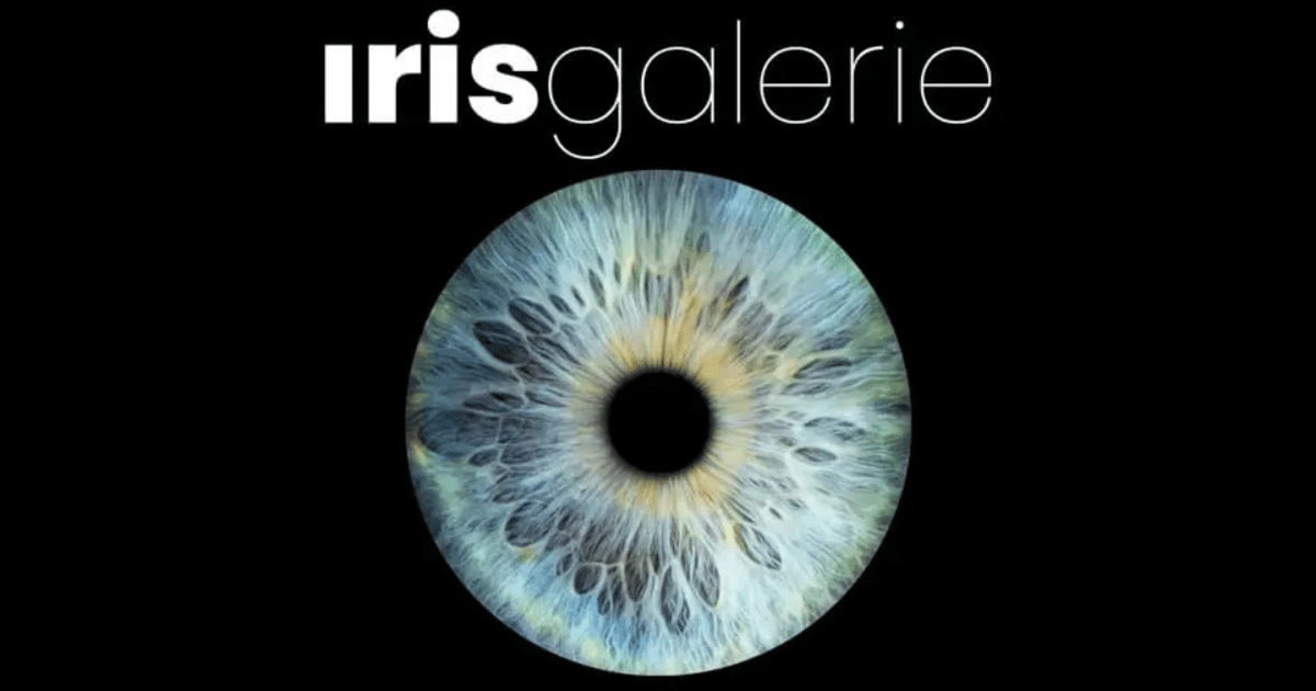 Tromsø: Rivela la tua esperienza visiva alla Iris Galerie | GetYourGuide