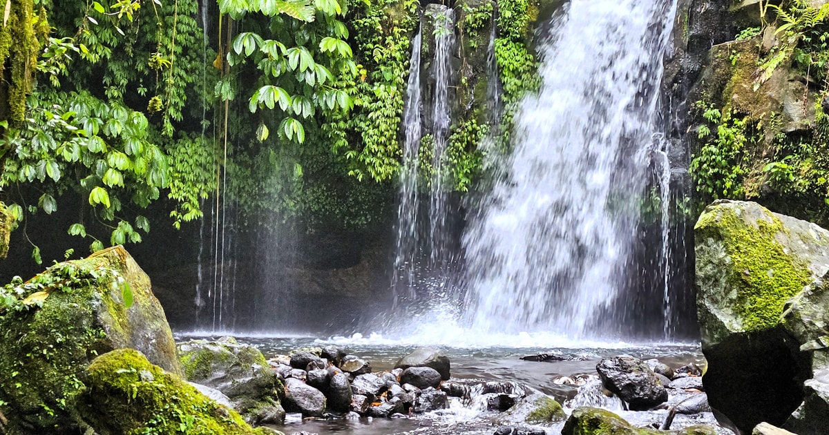 Jungle Trekking at Mt. Batukaru, scenic Waterfall & village | GetYourGuide