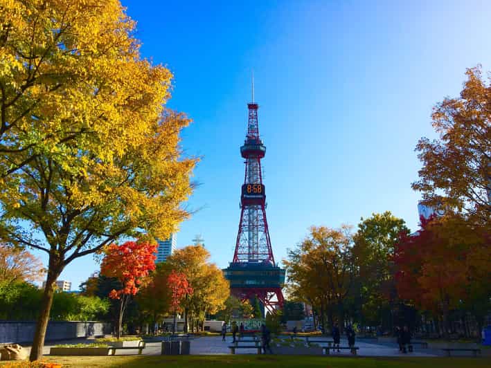 One day Private Sapporo Highlights Tour | GetYourGuide