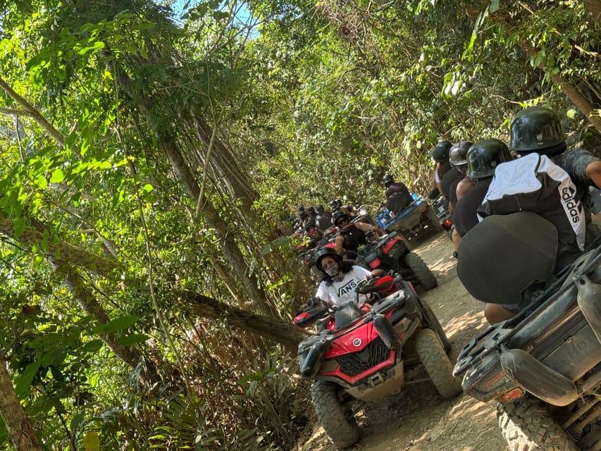 Puerto Rico: Hacienda Campo Rico ATV Experience with Pickup | GetYourGuide