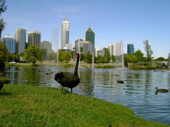 Perth Riverside Segway Tour | GetYourGuide