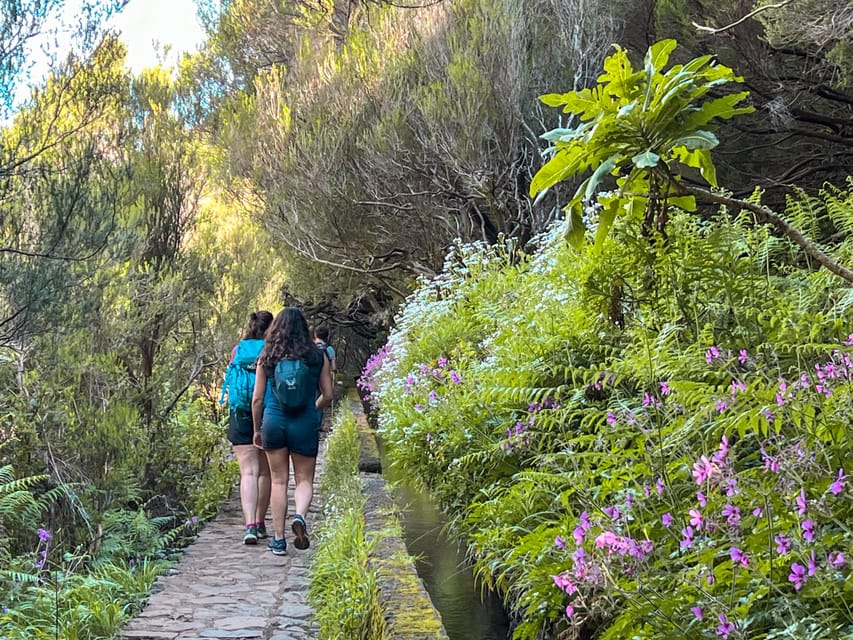 Rabaçal: Levada das 25 Fontes, guidad vandring i liten grupp | GetYourGuide
