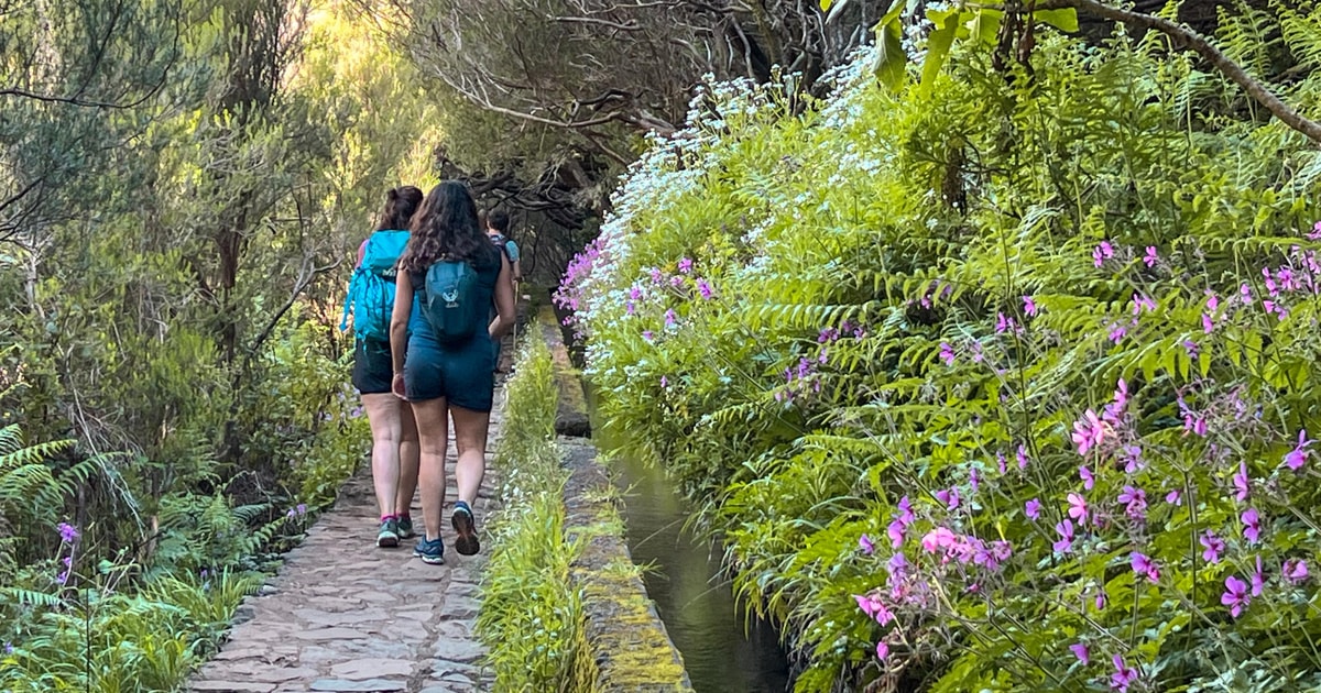 Randonnées en petits groupes Rabaçal 25 Fontes | GetYourGuide