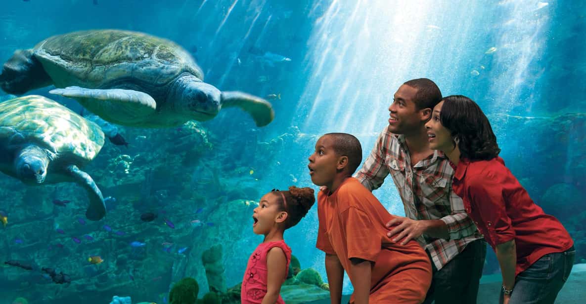 Top 7 Theme Parks And Amusement Parks In Florida, USA - | Trip101