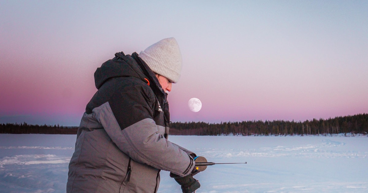 Authentic Reindeer Experience, Ice Fish & Lunch in the Wild | GetYourGuide