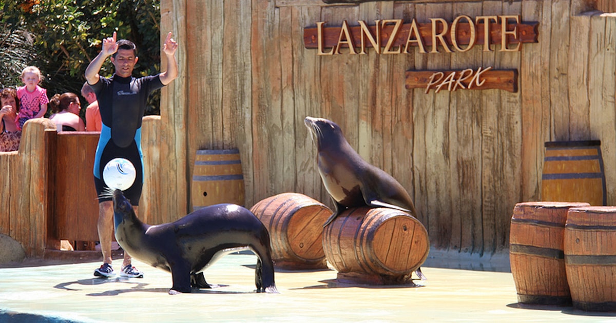 Entrada al Rancho Texas Lanzarote Park | GetYourGuide