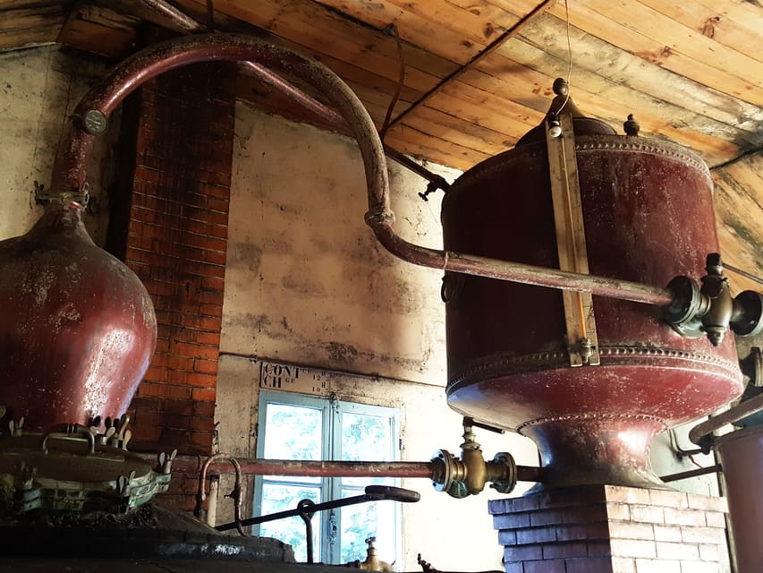 Cognac Distillery and Bordeaux Winery: Private Tour | GetYourGuide