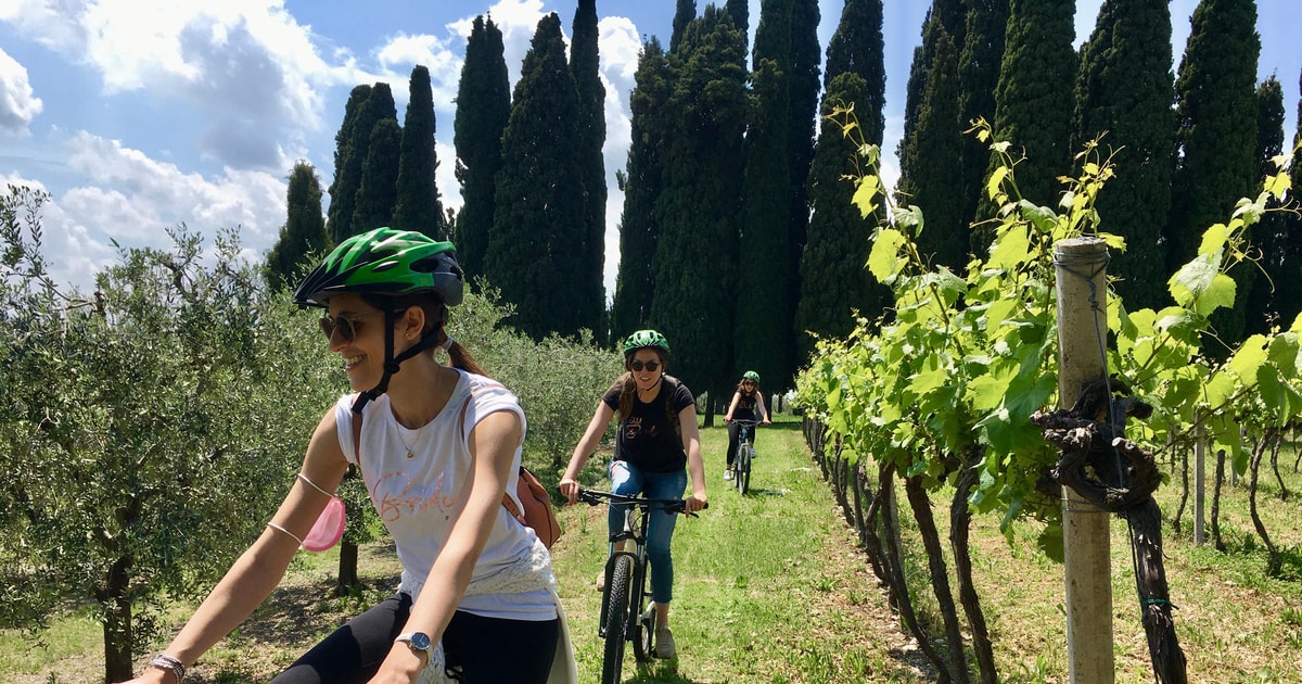 Salò: tour in e-bike con degustazione di vini sulle colline della Valtenesi | GetYourGuide