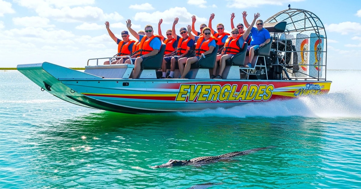 Miami Port or Hotel: Everglades Airboat Gator Spotting | GetYourGuide
