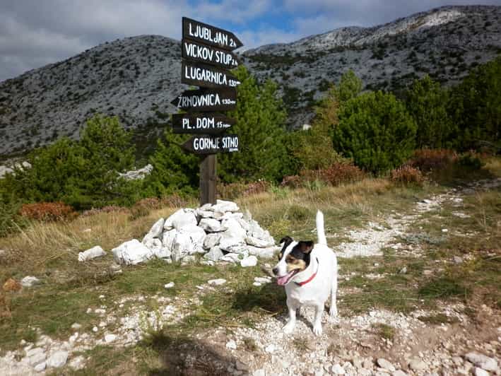Mosor Mountain Hiking Tour from Split | GetYourGuide