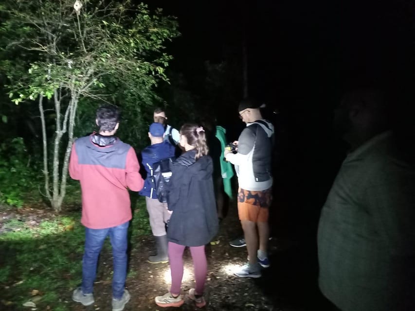 Tour de caminata nocturna | GetYourGuide