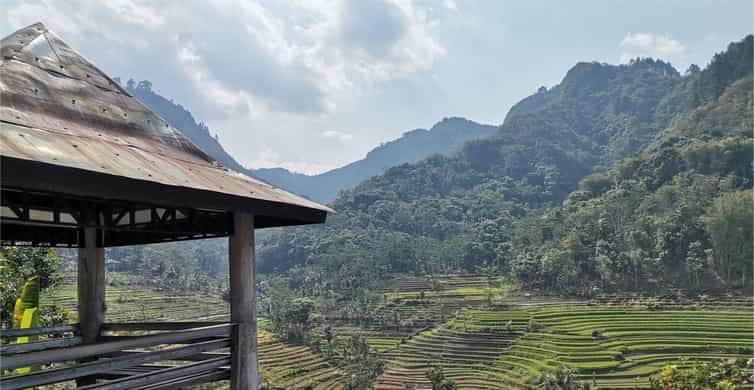 Yogyakarta: Selogriyo Temple, Rice Terraces & Waterfall Tour | GetYourGuide