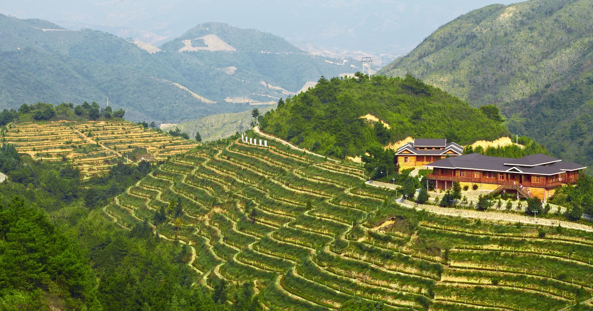 Anxi Tea Garden und Hong'en Rock von Xiamen aus | GetYourGuide