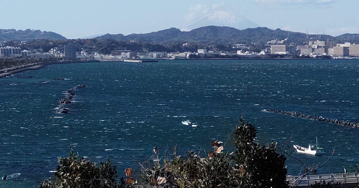 Discover priceless Yokosuka in special one-day walking tour | GetYourGuide