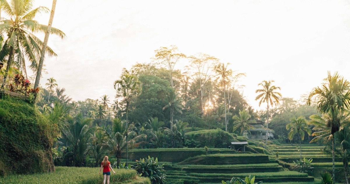 Bali: Private Customizable Day Tour | GetYourGuide