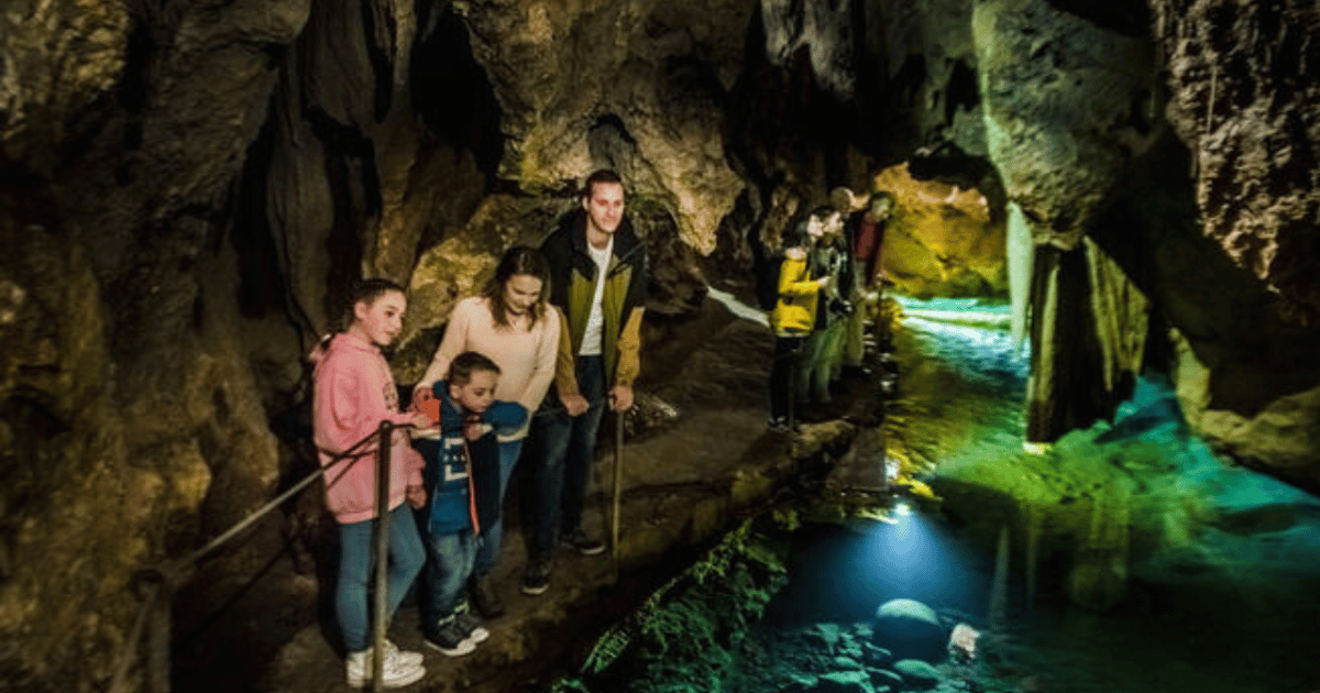 From Sydney: Jenolan Caves and Blue Mountains Private Tour | GetYourGuide