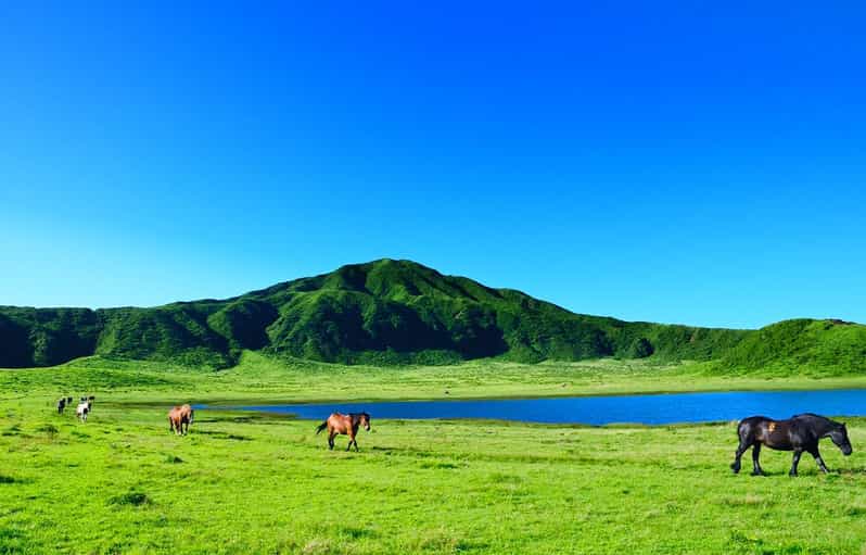 Kyushu Aso Volcano, Aso Boy Scenic Train,Hot Spring Day Tour | GetYourGuide