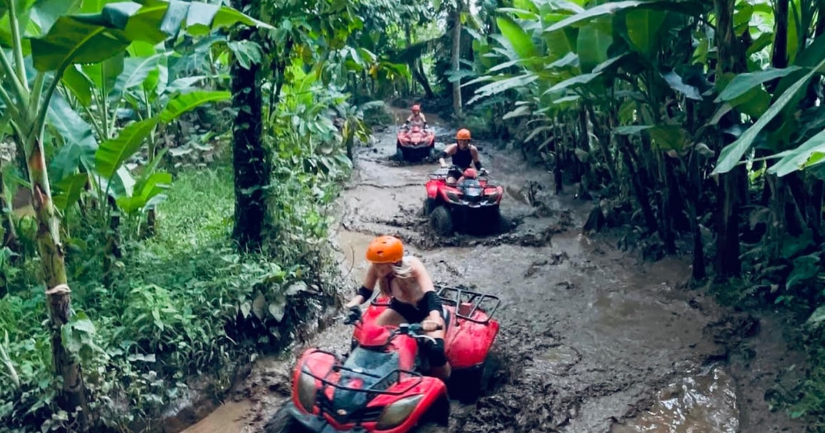 Ubud : tunnel de la grotte des gorilles en quad et canyon caché de Beji ...