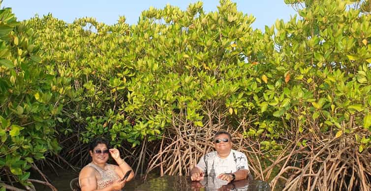 Floating Picnic Table: A Unique Mangrove Water Experience | GetYourGuide