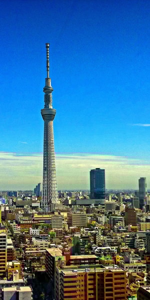 Tokyo Private Welcome Tour with a Local | GetYourGuide