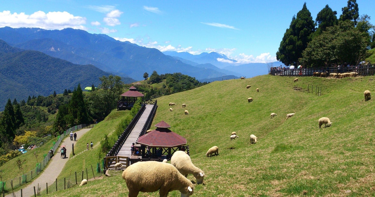 2-Day Qingjing & Hehuan Mountain Tour | GetYourGuide